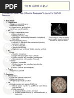 Animal Trauma Triage Score | PDF | Pulse | Physiology