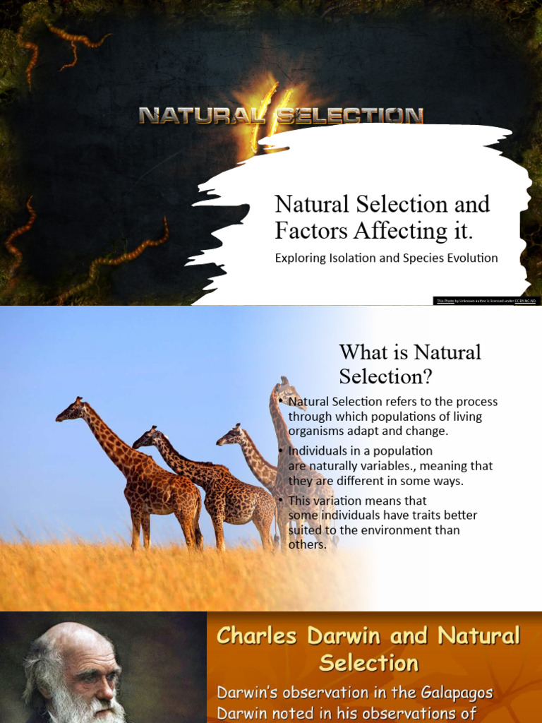 Natural Selection: Isolation and Evolution Factors | PDF | Evolution ...