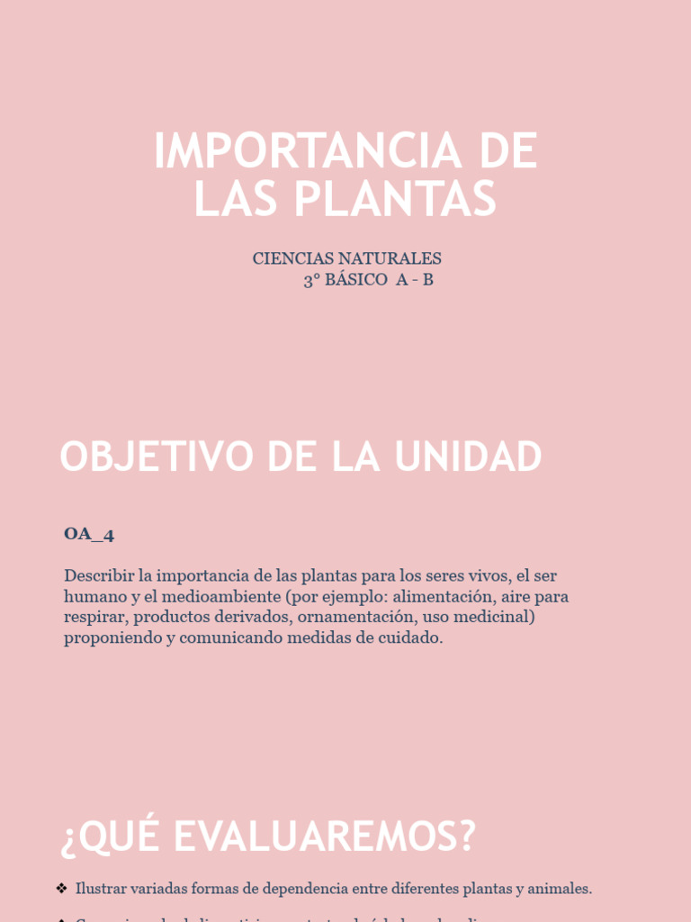 LAS PLANTAS (2).docx | Descargar gratis PDF | Plantas | Movimiento conservacionista