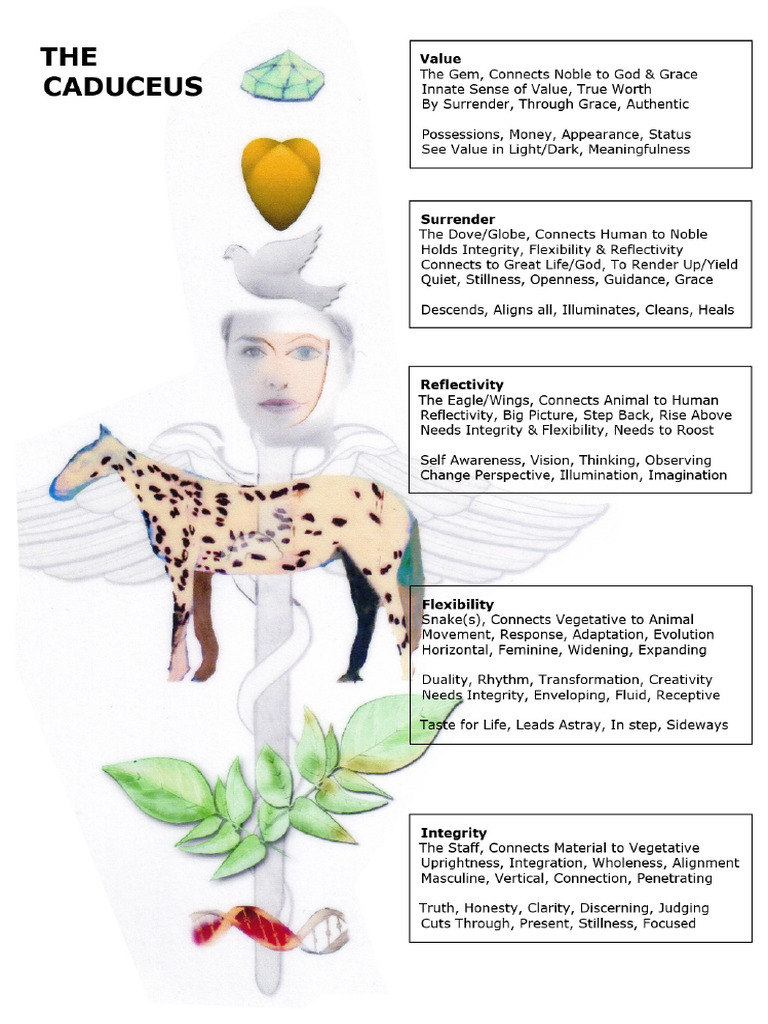 The Caduceus RGB A1 | PDF