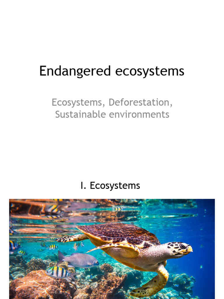 05 Endangered Ecosystems B | PDF | Ecosystem | Deforestation