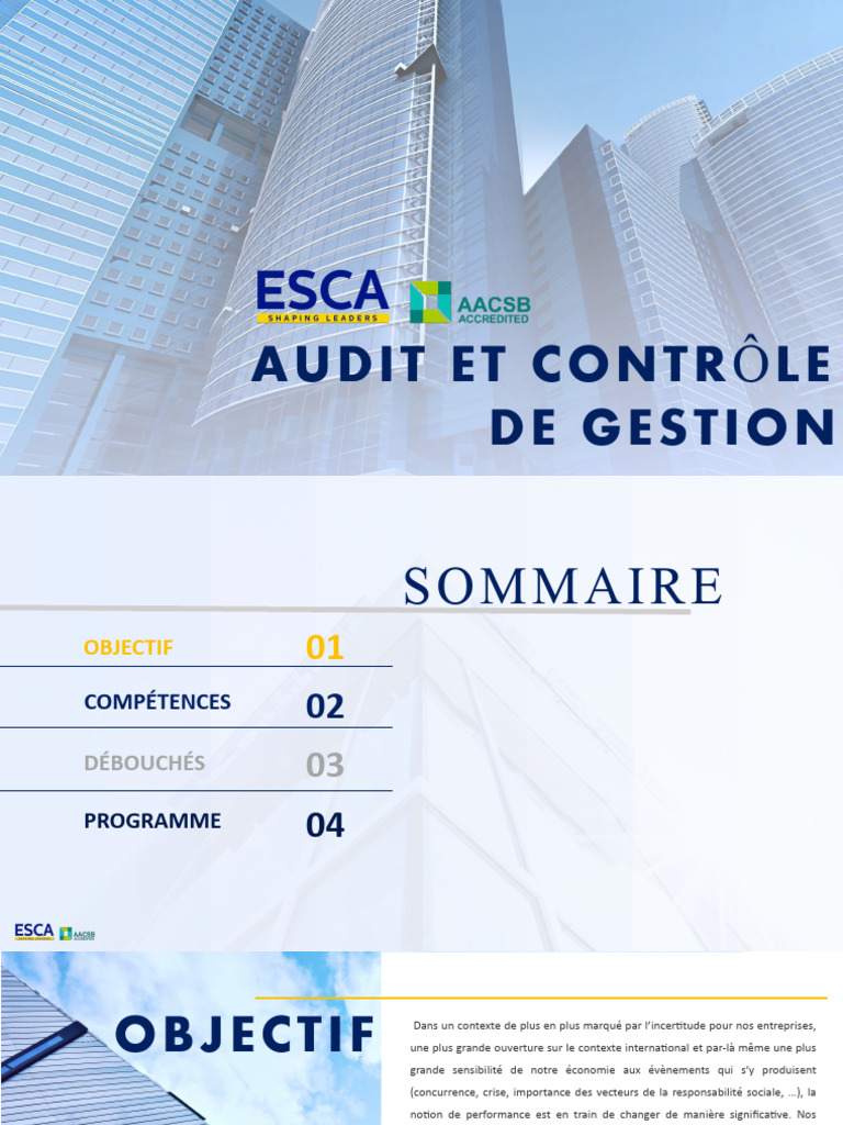 Programme Audit Et Contrôle de Gestion - 2023-2024 | PDF | Audit | Contrôle interne