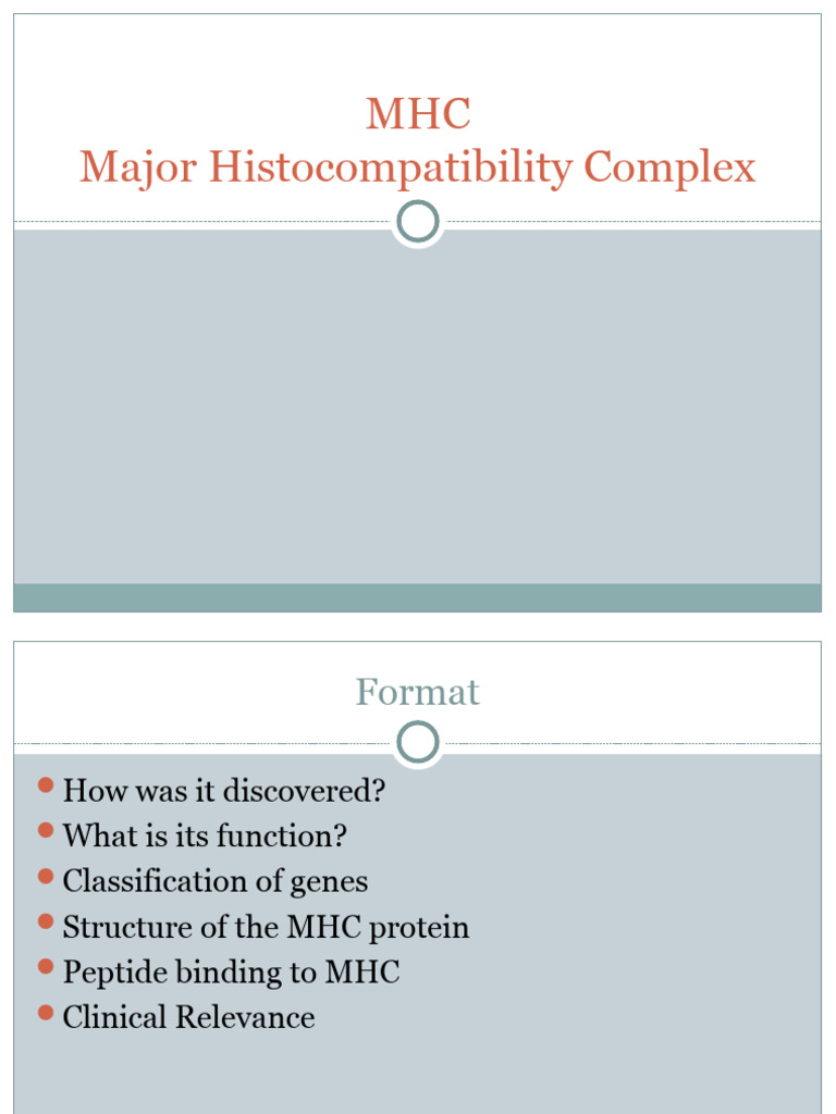MHCbasicimmuno | PDF | Major Histocompatibility Complex | Antigen