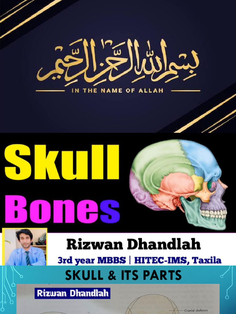 Skull Bones | PDF | Social Science | Science & Mathematics