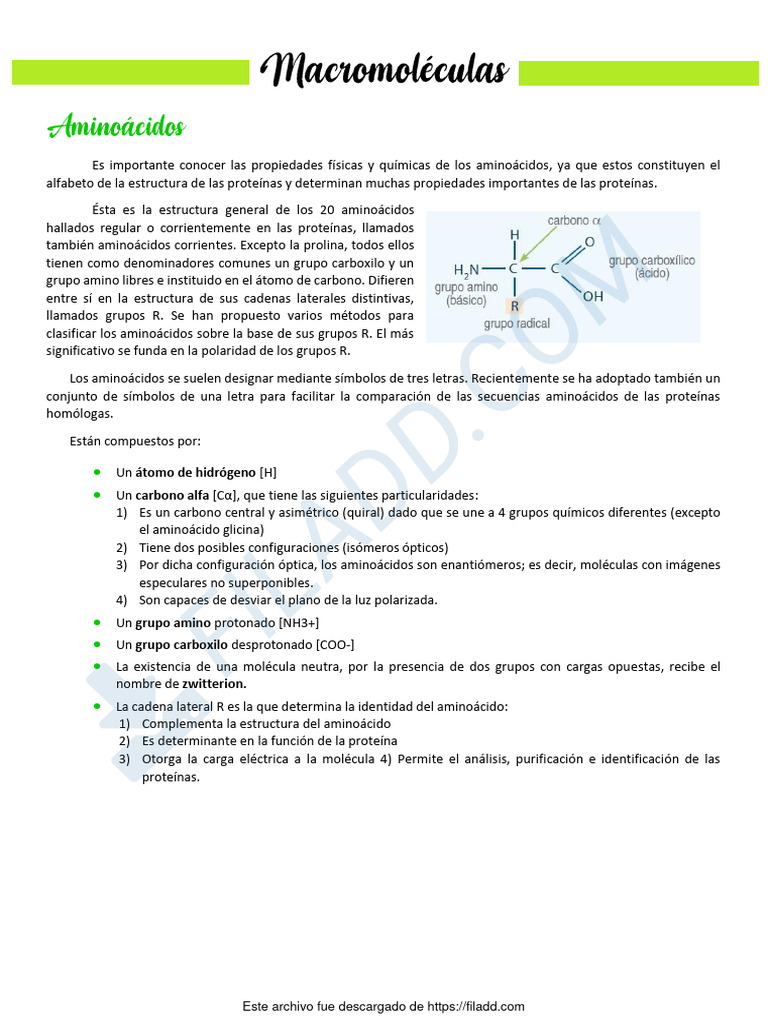 Macromoleculas | PDF | Enzima | Inhibidor de la enzima