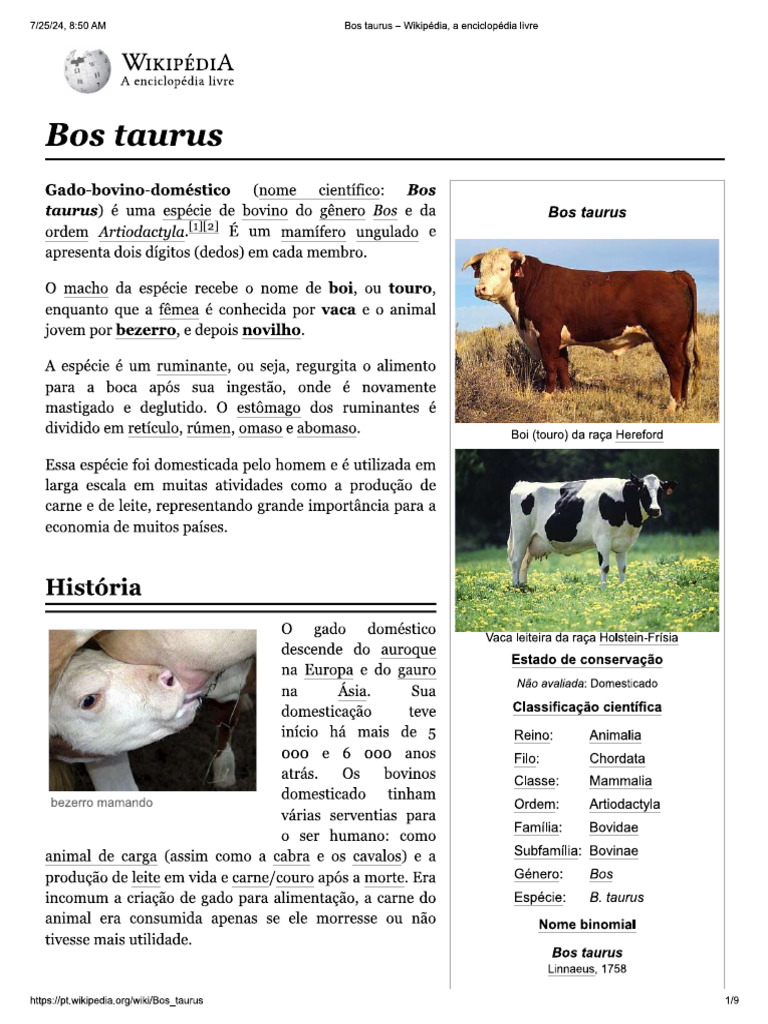 Bos Taurus | PDF