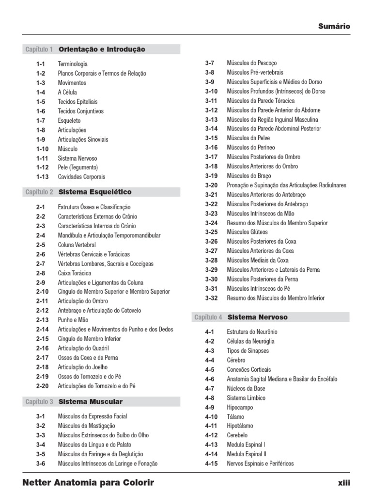 Netter - Anatomia para Colorir (John T. Hansen) (Z-Library) - Páginas-14 | PDF | Anatomia ...