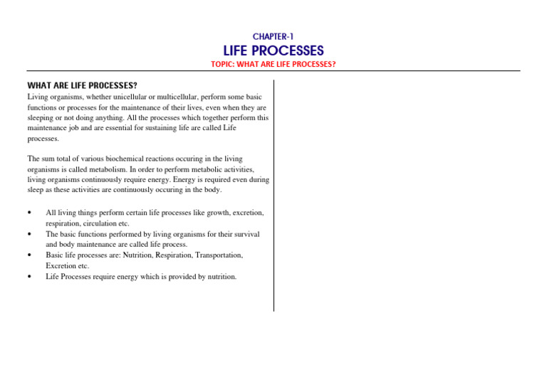 Understanding Life Processes in Organisms | PDF | Wellness