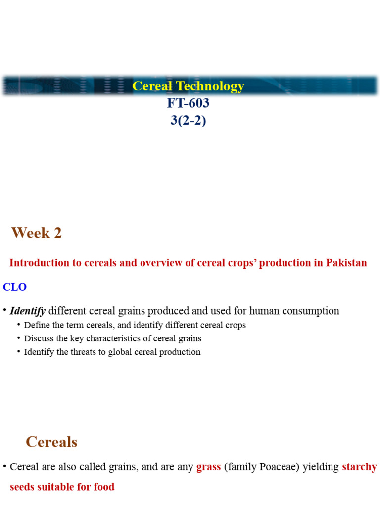 Cereal Technology (FT-603 T2) | Download Free PDF | Cereals | Foods
