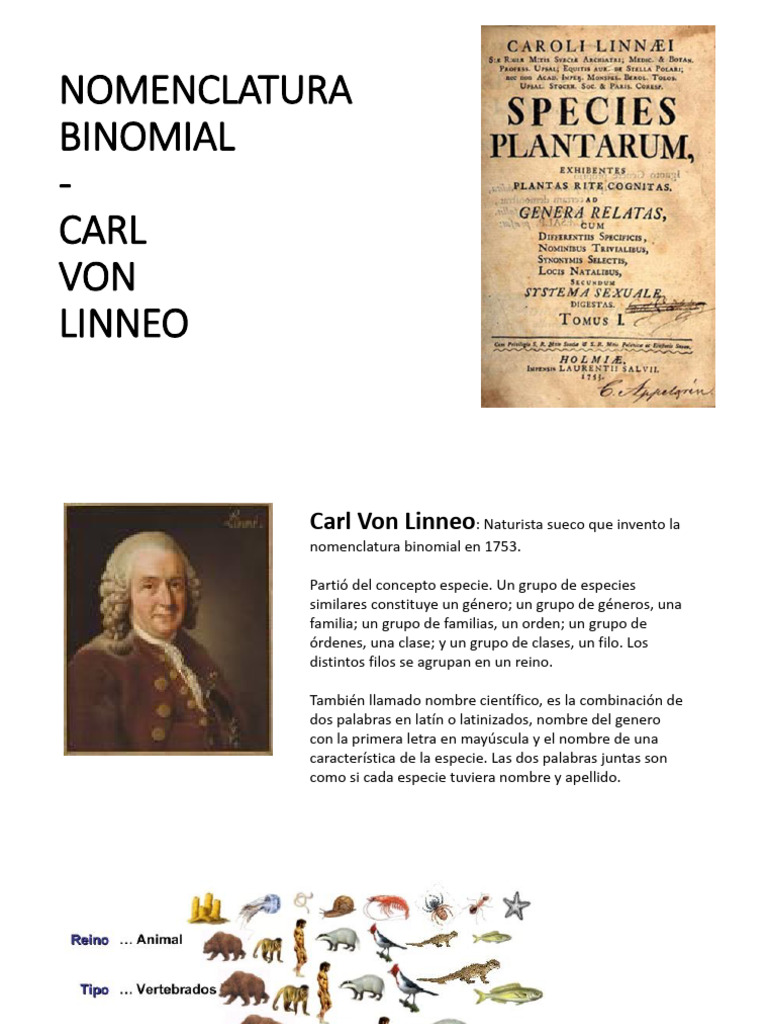 nomenclatura-binomial | PDF