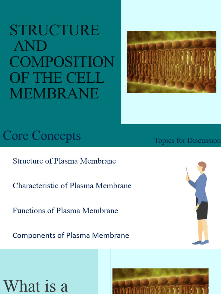 Structure and Composition of the Cell Membrane | PDF | Cell Membrane ...