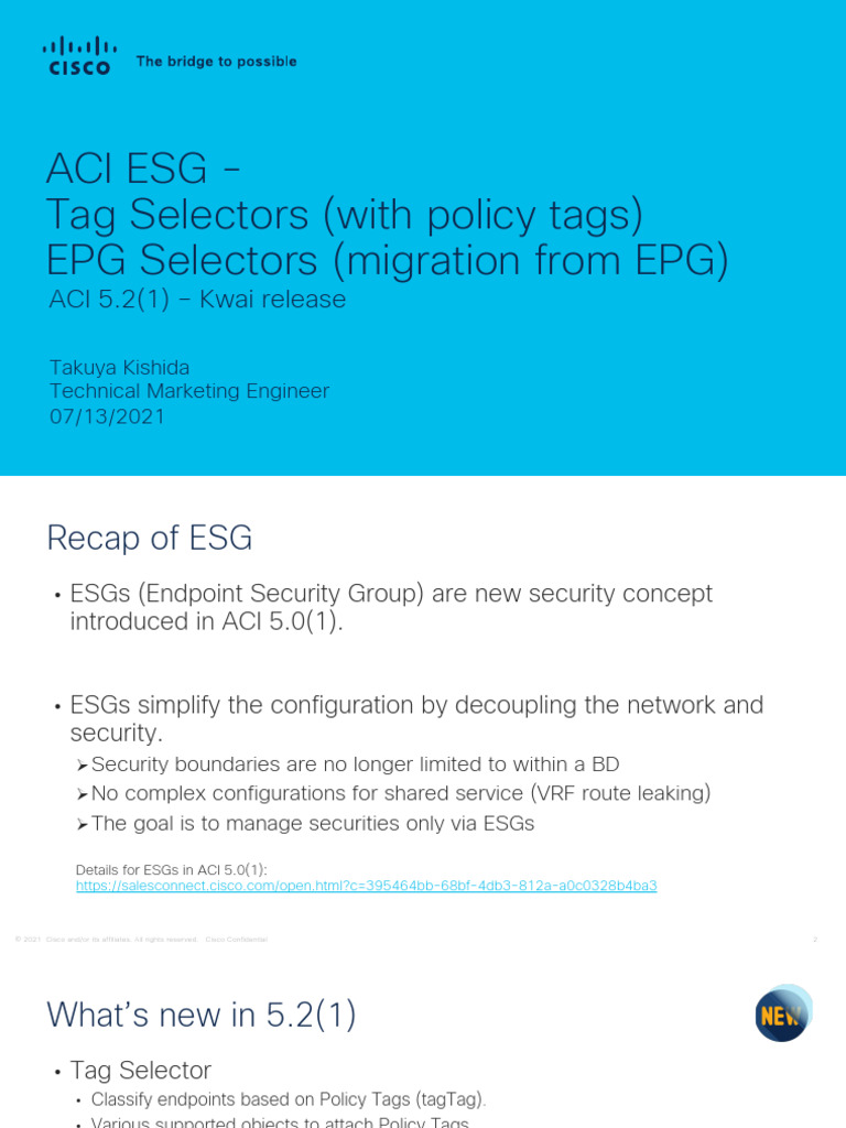 ACI_Kwai_ESG_Tag_and_EPG_Selectors | PDF | Ip Address | Computing