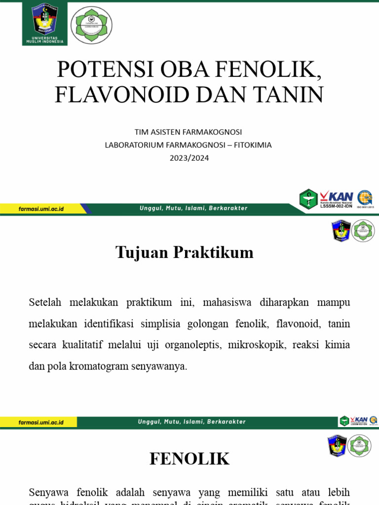 Uji Kualitatif Senyawa Fenolik dan Flavonoid | PDF