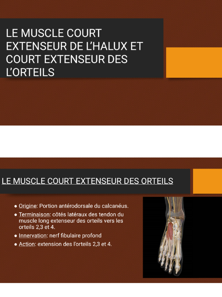 Sujet 1 | PDF