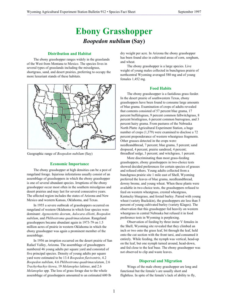 Ebony | PDF | Prairie