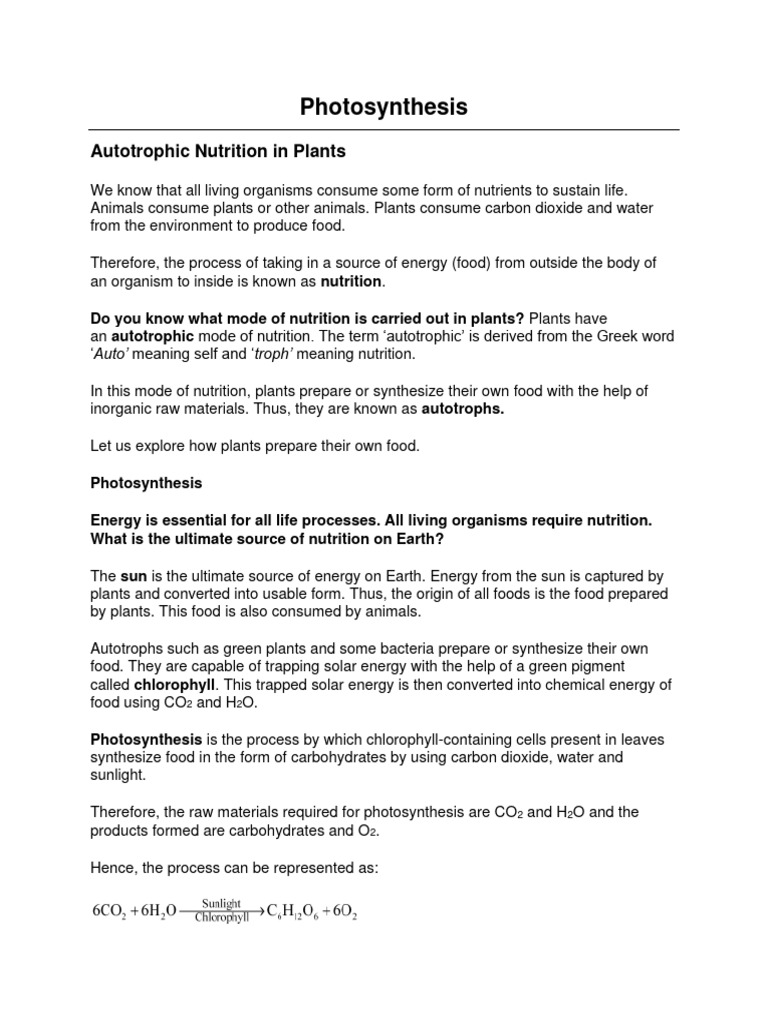 Photosynthesis New Chapter 2024 | PDF | Photosynthesis | Nutrition