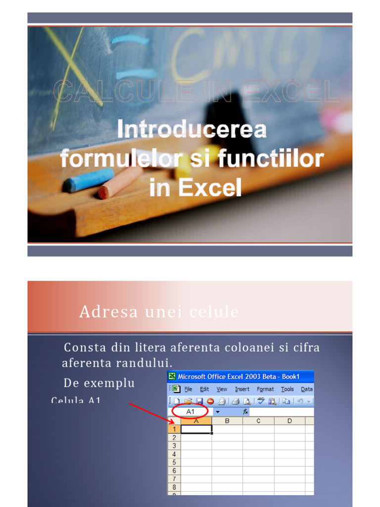 Functii in Excel | PDF