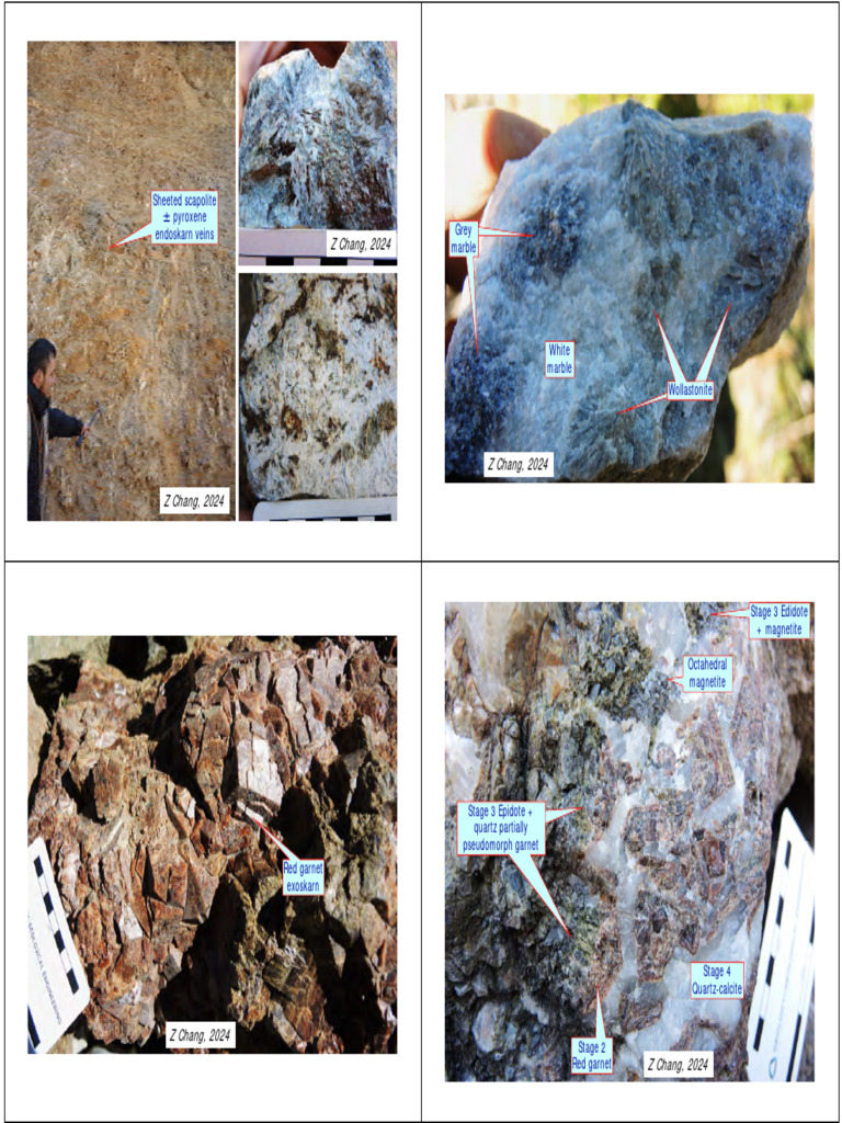 Skarns in The Andes | PDF | Petrology | Minerals
