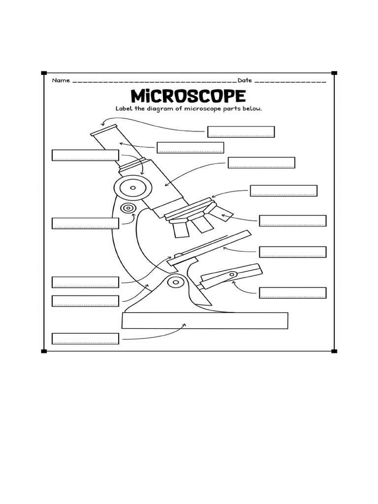 Microscope Parts Quiz Worksheet - 74143.jpg | PDF