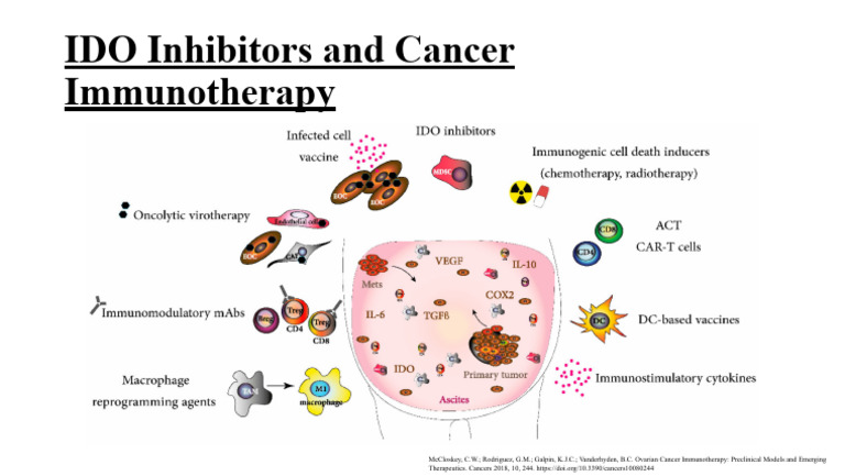 IDO Inhibitors and Cancer Immunotherapy | PDF | Wellness