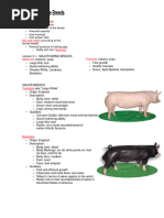 ARBA Official Breed ID Guide Rabbit Breed Showroom Variety Four or Six ...