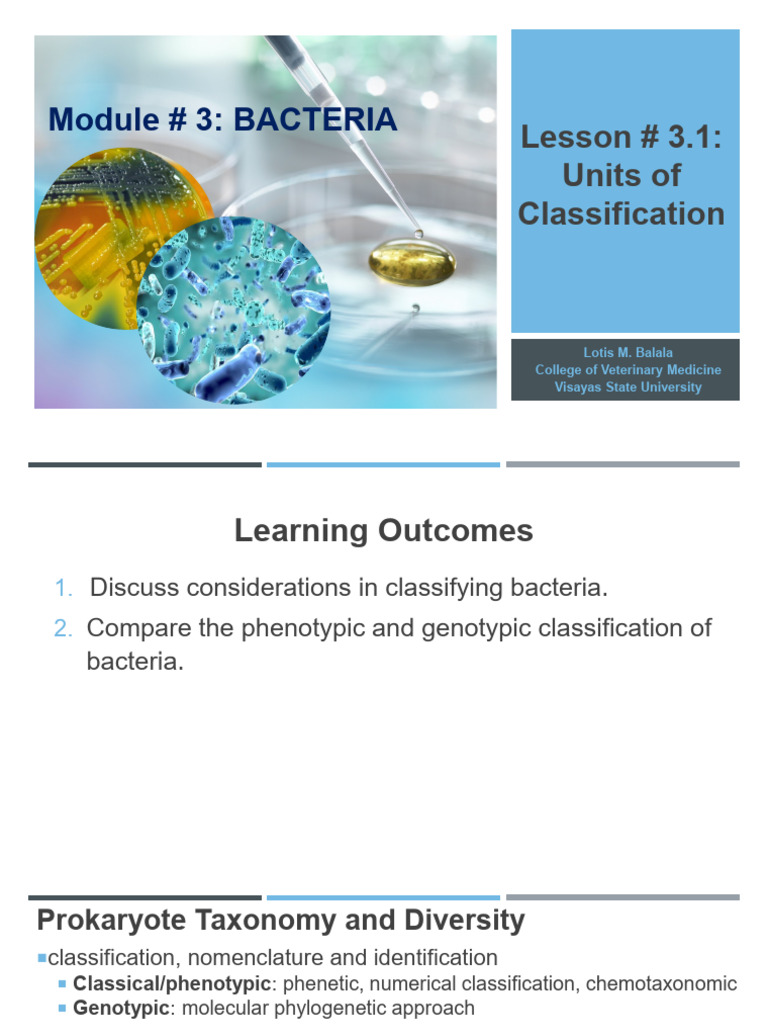 Lesson #3.1 Units of Classification | PDF | Taxonomy (Biology) | Species