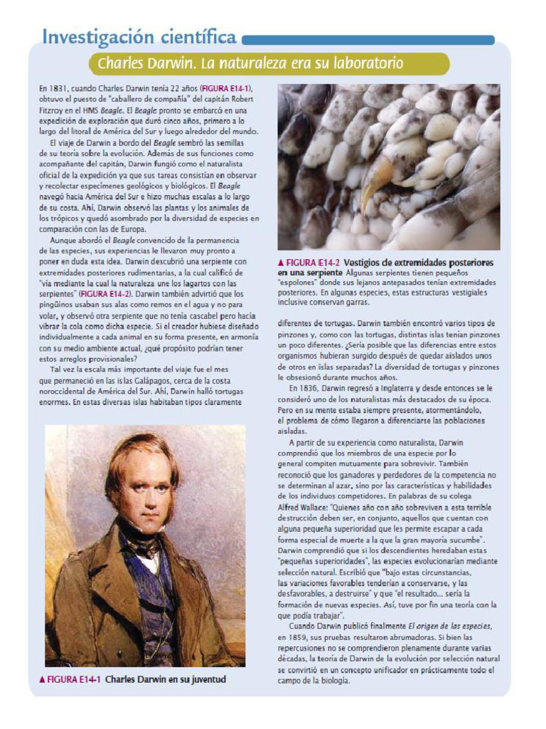 Darwin y Su Teoria Sobre La Evolucion | PDF | Seleccion natural ...