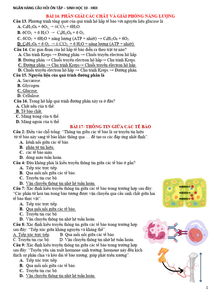 NHCH - Sinh 10 - Hkii | PDF