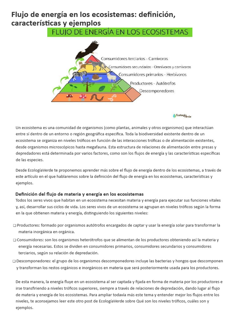 Flujo de Energía en Los Ecosistemas - Definición, Características y ... Flujo de Energía en Los Ecosistemas - Definición, Características y ...