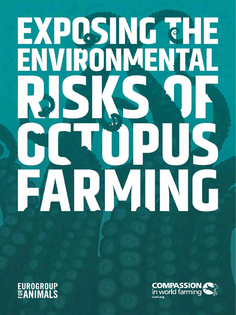 Octopus Report 2024 | PDF | Aquaculture | Eutrophication