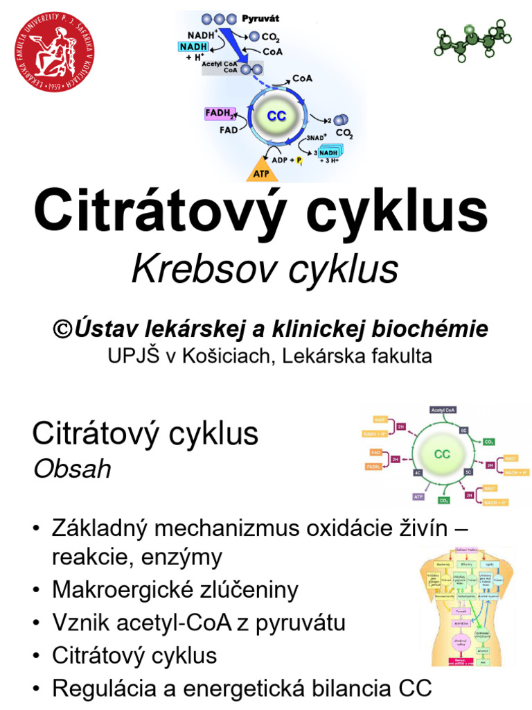 Citrátový Cyklus | PDF