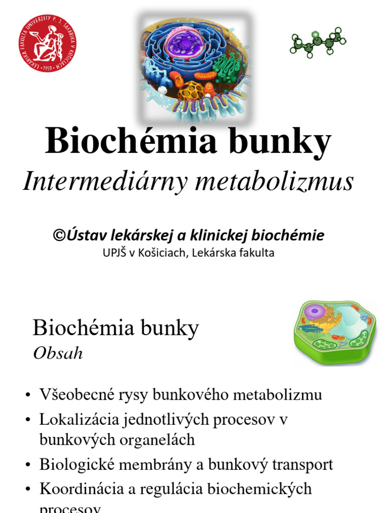 Biochémia Bunky | PDF