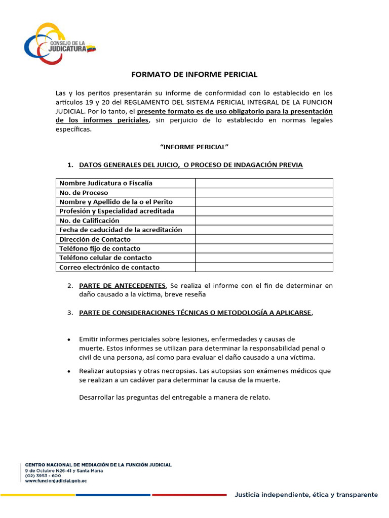 Formato de Informe Pericial | PDF | Derecho