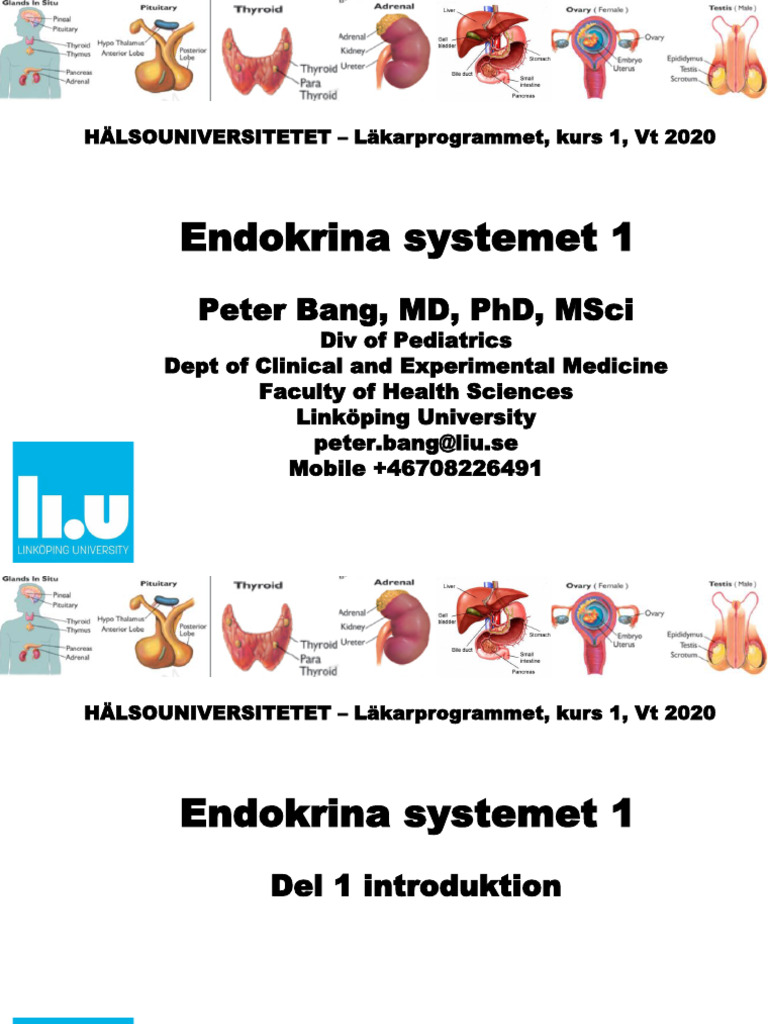 2020-04-23 Bang Endokrina Systemet 1 VT 2020 PDF | PDF