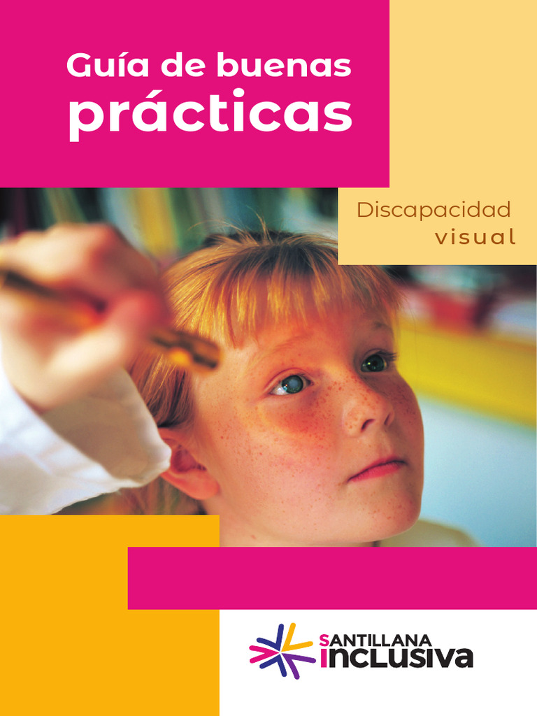Discapacidad Visual Guia de Buenas Practicas | PDF | Invalidez | Discapacidad visual