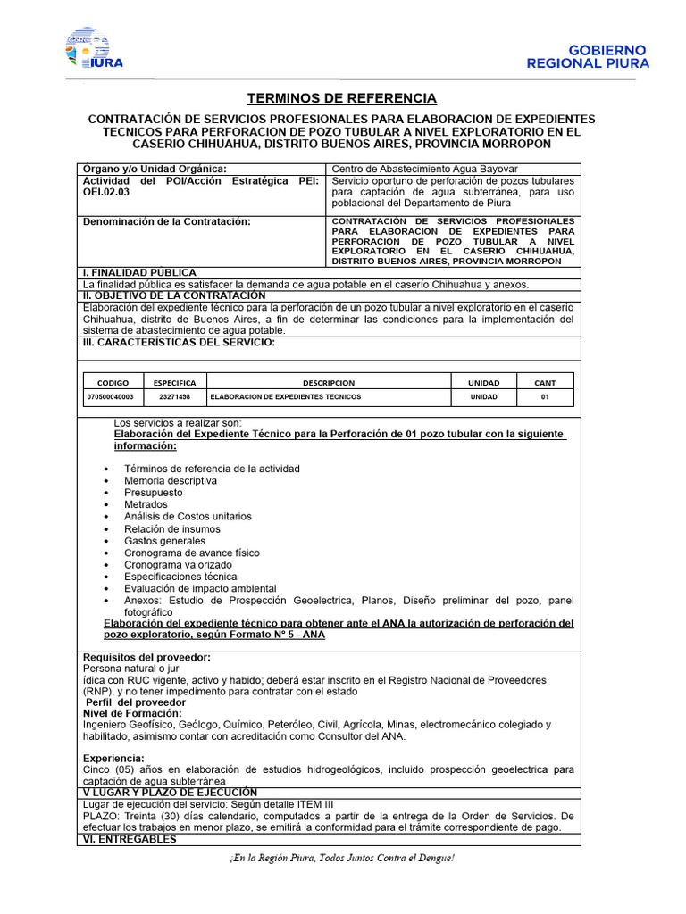 TDR Exp. Tco Modelo | PDF | Corrupción política