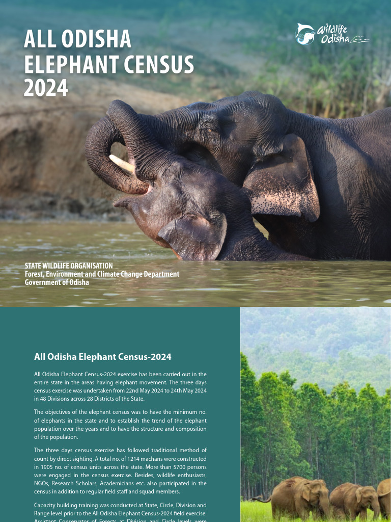 Odisha Elephant Census 2024 Results | PDF | Elephant | Livestock