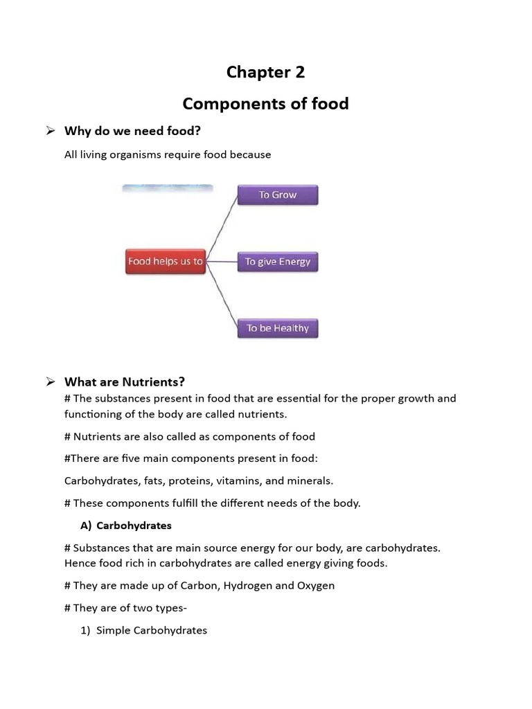 Components of Food Class 6 Notes | PDF | Foods | Carbohydrates