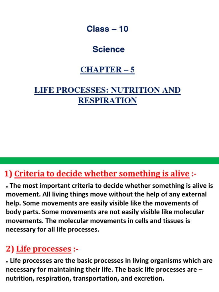 Ch-5 LIFE PROCESSES (Nutrition & Respiration) | PDF | Cellular ...