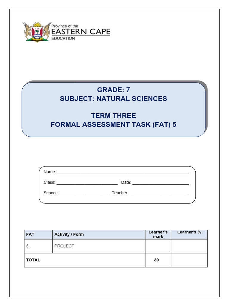 2023 Ns Grade 7 Project Term 3 | PDF | Energy Development | Renewable ...