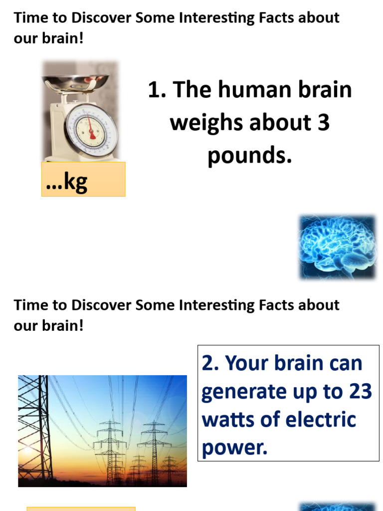 Interesting Facts About Our Brain Guessing | PDF
