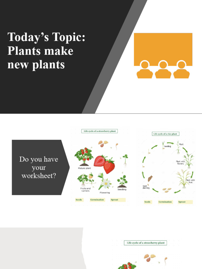 1.2a Lesson - Plants Make New Plants | PDF | Seed | Flowers