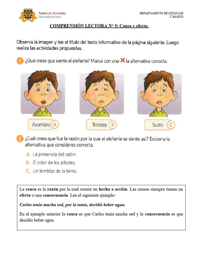 Causa y Efecto en Comprensión Lectora | PDF