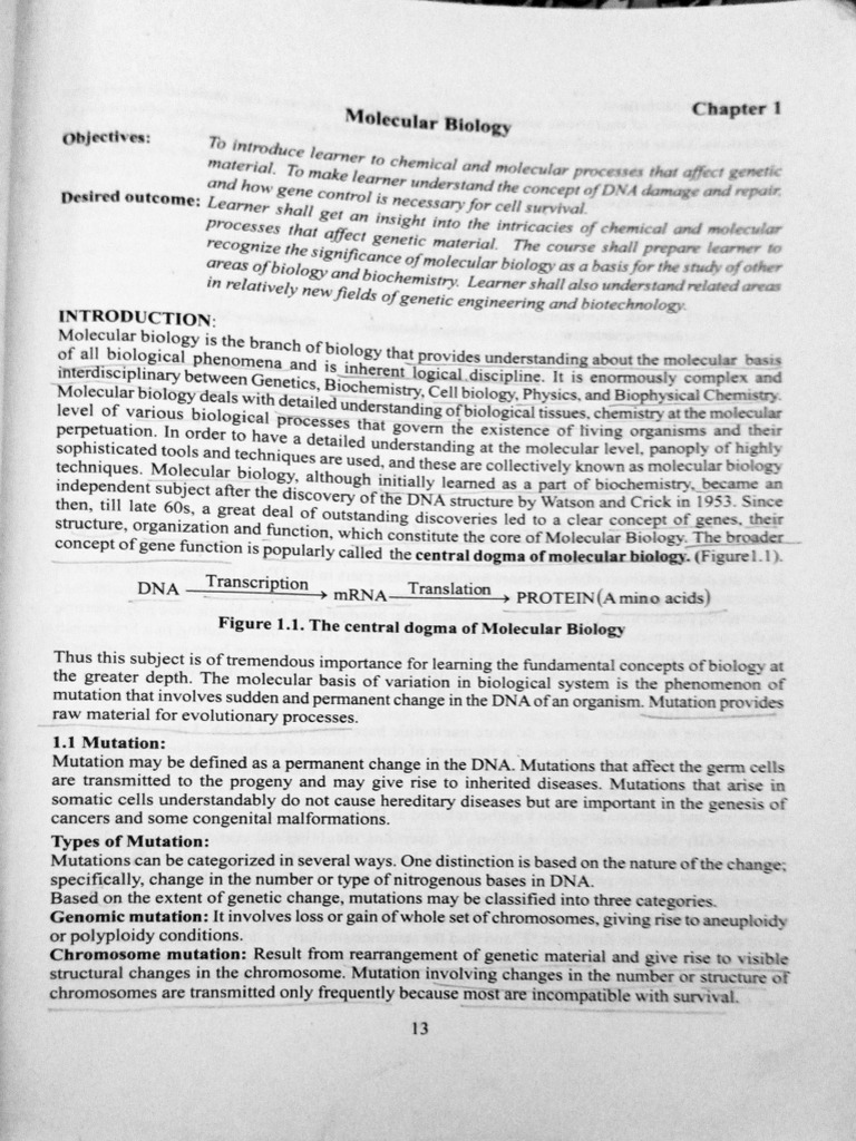 Unit 1 - Molecular Biology | PDF
