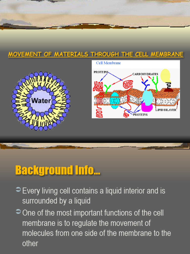 Cell Membrane Transport Basics | PDF | Cell Membrane | Osmosis