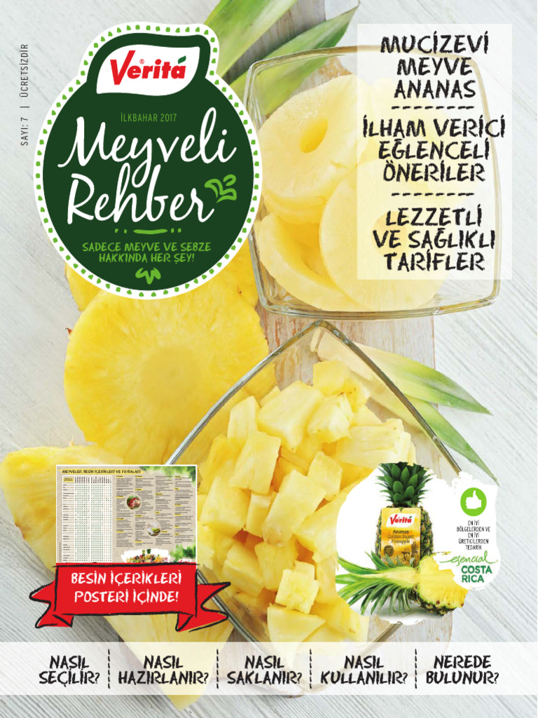 Sayi 7 Ananas | PDF