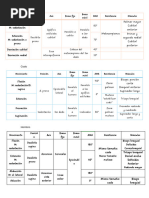 Anatomía de los Músculos Mediales del Muslo | PDF | Extremidades ...