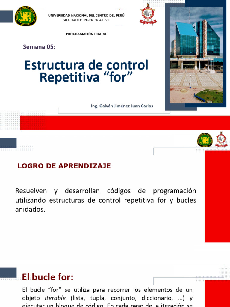 Estructura de Control For Python | PDF | Programación de computadoras ...