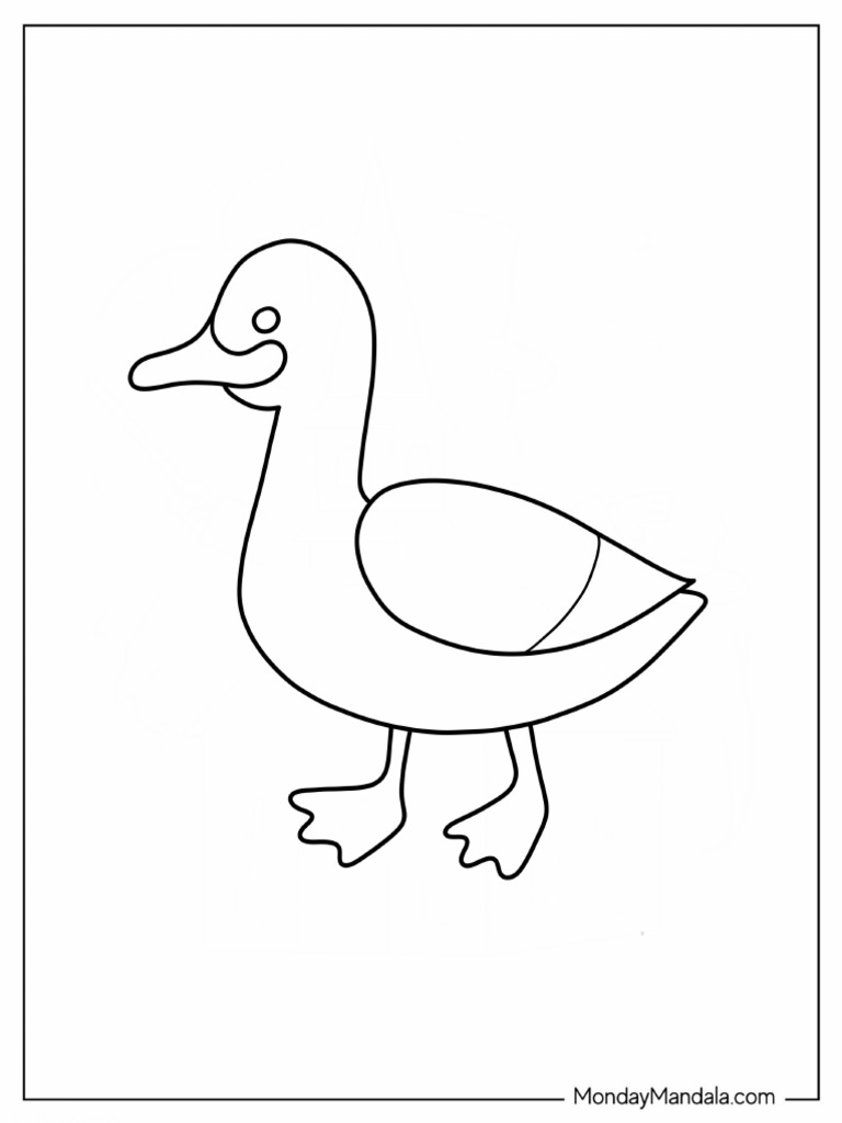 Summer Duck Outline Coloring Page | PDF