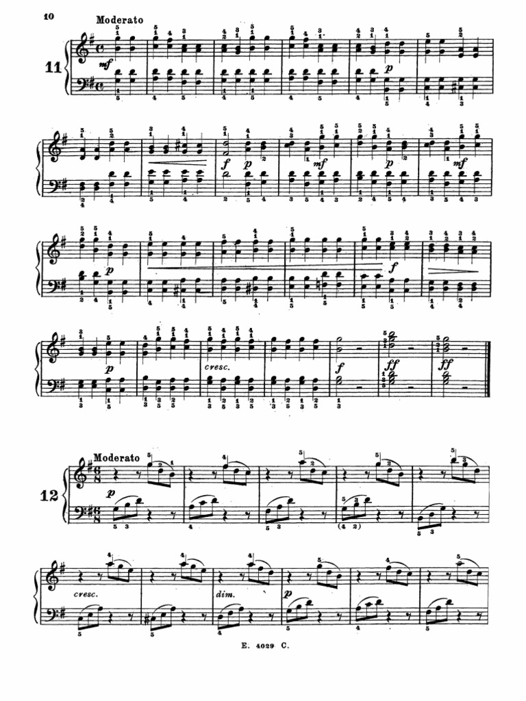 Duvernoy-Es 12 | PDF